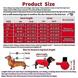 Dachshund Raincoat, Dachshund Clothes for Dog, Dachshund Coat, Dachshund Winter Coat, Dachshund Raincoat Waterproof, Coat Miniature Dachshund, Miniature Dachshund Raincoat for Small Dog (S, Red)