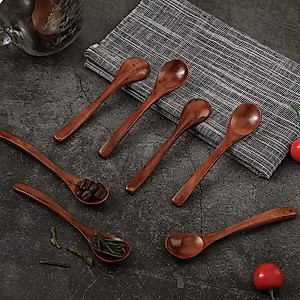 Patelai 12 Pcs Small Wooden Spoons 5 Inch Honey Spoons for Tea Mini Wood Tasting Spoons for Cooking Little Tiny Wooden Eating Serving Spoons for Desserts, Coffee, Jars(Brown)