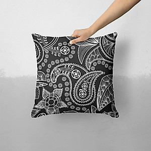 iiRov Black and White Paisley Pattern v14 - Custom Decorative Home Decor Indoor or Outdoor Throw Pillow Cover for Sofa, Bed or Couch Cushion (Pillow CASE Cover ONLY)