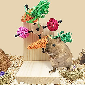 BNOSDM Wooden Foraging Toy for Small Animals Hamster Enrichment Foraging Toys Interactive Spin Guinea Pig Puzzle Toy for Dwarf Hamster Guinea Pig Chinchilla Rat Rabbit Chinchilla Bunny