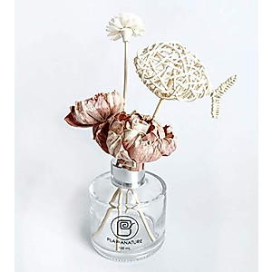 10 Rare Natural Pink Peony 1.5" Sola Flower Reed Diffuser for Home Fragrance Oil by Plawanature.
