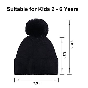 Arctic Paw Kids Beanie Todddler Pom Pom Hat Boys Girls Warm Lined Knit Winter Hat_Black