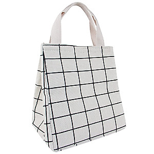 Daixers Lunch Bag Insulated Lunch Box for Women Men,Reusable Adult Lunch Tote Bags for Work or Travel (White Plaid)