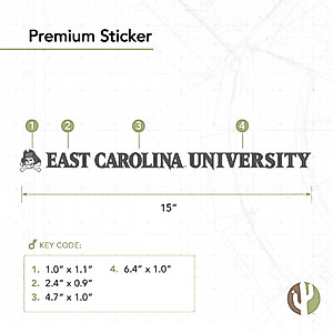 Desert Cactus East Carolina University Pirates ECU Name Logo Vinyl Decal Laptop Water Bottle Car Scrapbook (15 Inch Sticker)