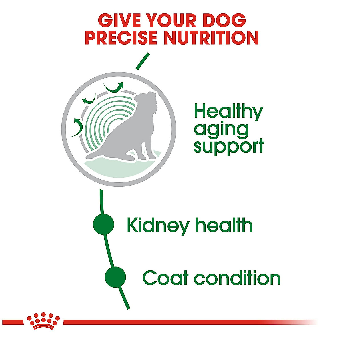 Royal Canin Small Aging 12+ Dry Dog Food, 2.5 lb bag