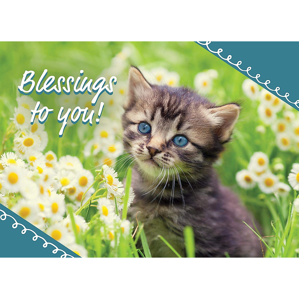 HTL Card-Boxed-Childrens Birthday-Fuzzy Friends (Box of 12)