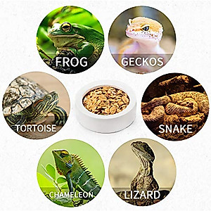 Meanplan 4 Pieces Reptile Water Food Bowl Terrarium Bowls Worm Dish Ceramic Pet Bowls Mini Reptile Food Ceramics Water Bowl Anti-Escape Mini Reptile Feeder for Lizard Anoles Bearded Dragons