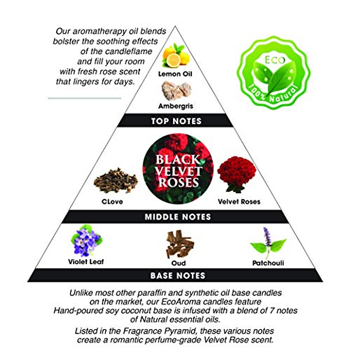 Coco-Soy Organic Wax Melts Perfume-Grade Essential Oils Extracted Natural Flowers Plants Coconut Soy EcoWax Aromatherapy Botanical Collection - Velvet Rose 1-Pack 6 Cubes