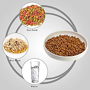 Ceramic Cat Bowls,Shallow Cat Dishes for Food and Water, 6 inch Matte Finish Wide Cat Food Bowl,Whisker Fatigue Free Pet Puppy Kitten Bowl Set of 3,Dishwasher Safe