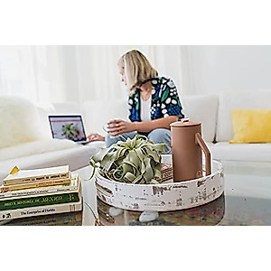 5 Pack Air Plants Red Abdita Tillandsia - Medium Air Plants Live Variety Pack - Live Succulent House Plants - Home Holders and Garden Decor - Easy Care Indoor and Outdoor Air Plant