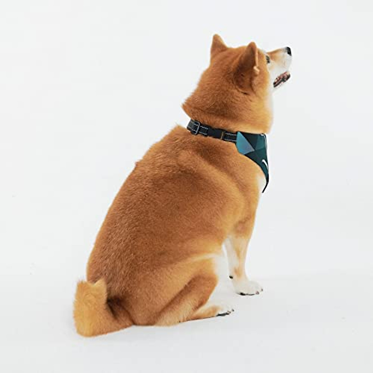 Jelly Rapper Rock Roll Dog Bandanas with Buckle Pet Triangle Scarf Washable Dog Collar Kerchief for Dogs Pet Accessories Double Sided for Puppy Holiday Pet Bandana for Christmas X-Large