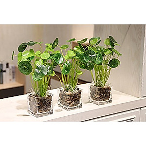 OUPENG Pebbles Polished Gravel, Natural Polished Mixed Color Stones, Small Decorative River Rock Stones 2 Pounds (32-Oz)