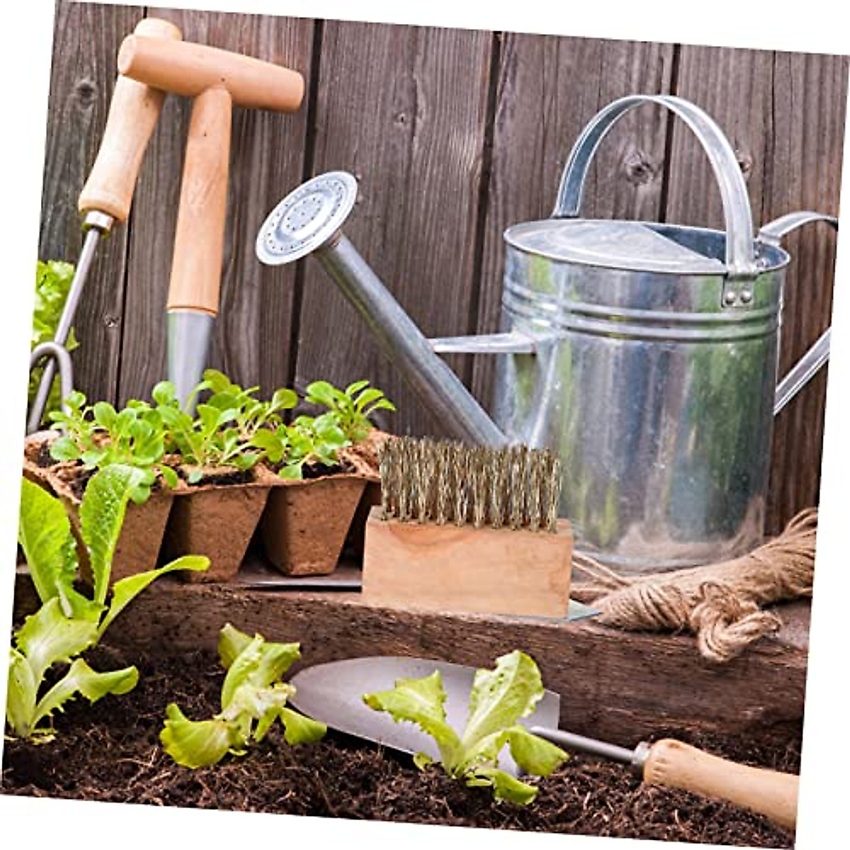 Yardenfun 2pcs Wire Weeding Brush Tile Tools Cleaning Brushes Tile Scrubber Carpet Cleaning Brush Floor Scrub Brush Garden Wire Brush Wooden Handle Brush Weeding Brush Garden Cleaning Supply