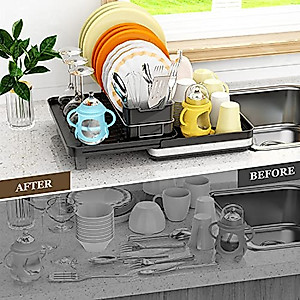 Dish Drying Rack- Space-Saving Expandable Large Capacity Dish Rack for Kitchen Counter, Kitchen Dish Drainer with Utensil Holder, Drying Rack for Kitchen Counter Dishes, Knives, Spoons, Forks (白蜡虫可