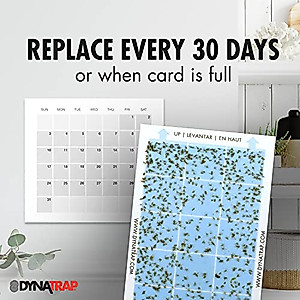 DynaTrap 230093 Replacement StickyTech Glue Cards for Flylight Indoor Plug-In Fly and Flying Insects Trap for Indoor DynaTrap Models DT3009 and DT3019 - 6 Pack