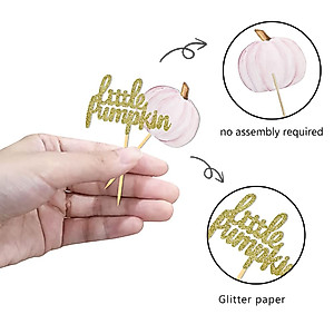 Little Pumpkin Cupcake Toppers, Thanksgiving Birthday Baby Shower Fall Theme Party Decorations Gender Reveal Supplies - Set of 24 (pink)