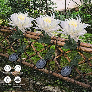 Outdoor Solar Garden Stake Lights, Chrysanthemum Decor Solar Pathway Lights LED Solar Garden Lights, Waterproof Stake Light for Garden Patio Yard Pathway Decor