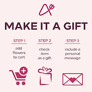 Fresh Flowers Delivery - Next-Day Delivery - 24 Roses Flowers - Fresh Bouquet for Delivery - Fresh Cut Long Stem Roses Bouquet of Flowers Birthday Gifts for Women - Aquarossa Farms