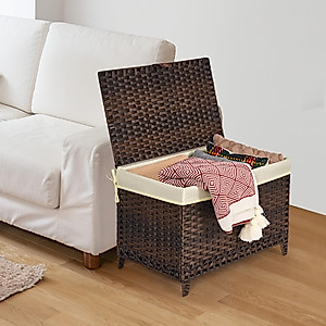 Honjourai Wicker Storage Basket with Lid,Rattan Shelf Basket with Removable Liner Bag,160L Storage Bin,Storage Trunk with Heightened Feet,Storage Container for Wardrobe,Home Organizer