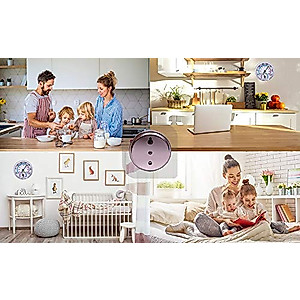 LayscoPro Mini Indoor Thermometer Hygrometer Analog 2 in 1 Temperature Humidity Monitor Gauge for Home, Room, Outdoor, Offices, Display Mechanical (No Battery Needed) (Gold-2 Pack, Gold-2 Pack)