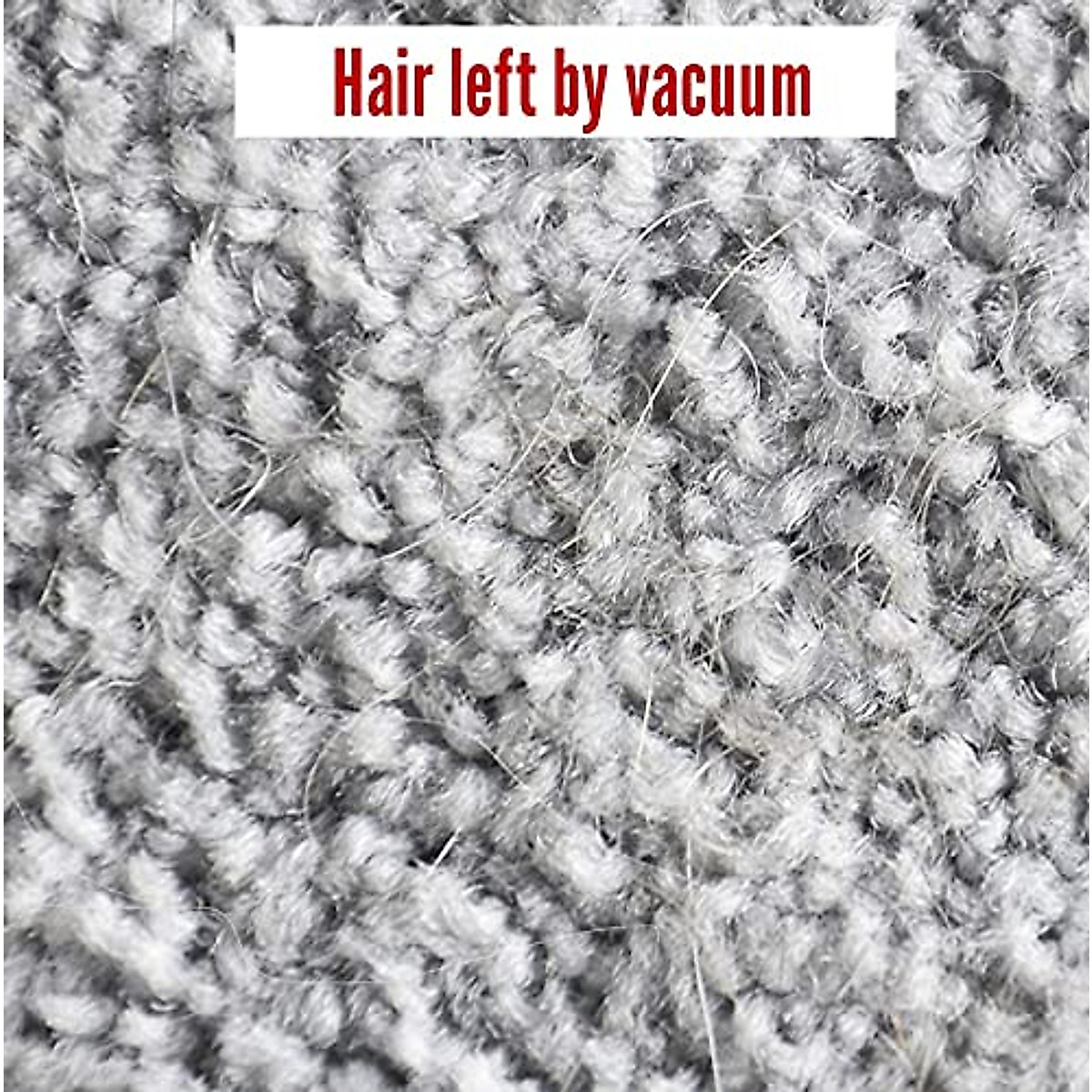 Lilly Brush Mighty Pet Hair Detailer Head (NO HANDLE) Dog Hair & Cat Hair Remover for Carpets and Rugs. Fits on ALL standard broom sticks.