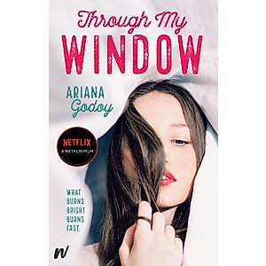 Through My Window (The Hidalgo Brothers, 1)