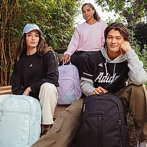 adidas Saturday Backpack, Silver Dawn Grey/Silver Violet Purple, One Size