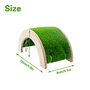 Hermit Crabs Climbing Bridge with Moss, Hermit Crab Hideout Hermit Crab Climbing Toy Reptile Climbing Decor Aquarium Tank Accessory for Small or Medium Hermit Crab Habitat