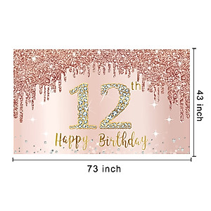 12th Birthday Banner Decorations for Girls, Rose Gold Happy 12 Birthday Backdrop Party Supplies, Pink 12 Year Old Birthday Sign Poster Background Photo Booth Props Decor
