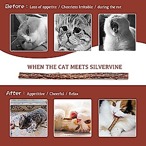 30PCS Kitten Toys Catnip Toys Matatabi Silvervine Sticks Kitty Chew Toys Wooden Stick Kitten Teething Toys Molar Suitable for Cats of All Ages