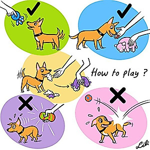 CHIWAVA 2 Pack 6" Squeaky Latex Dog Toy Balls Football Rugbys Fetch Interactive Toy for Medium Large Dogs