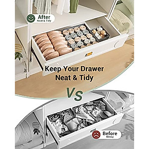 HogarTech Underwear Bra Orgainzer for Drawer, Sturdy Construction with Double Zippers, Durable Oxford Cloth, Removable Base Board Drawer Organizer for Sock, Clothing, Bra, 3 Pack, Grey