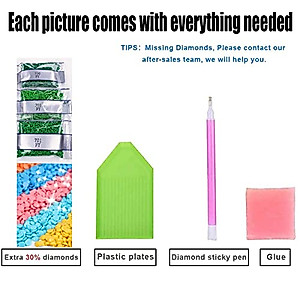 Rustic Flower Painting Kits Farmhouse 5D Diamond Art Kits for Beginner, DIY Full Drill Diamond Dots Paintings with Diamonds Gem Art and Crafts for Adults Home Wall Decor