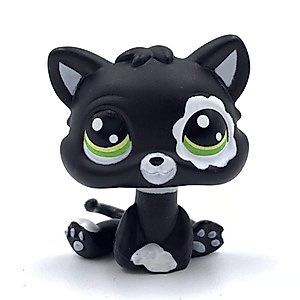 PSCB Custom-Made Baby for Short Hair Cat #2249 Black Body White Flower Eyes Bobble Head 1 Inch Kitty Mini Pet Toys