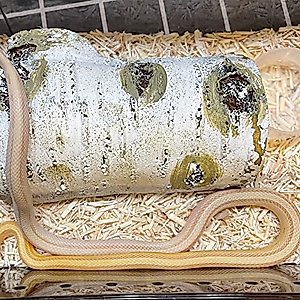 Aufeeky Reptile Hides and Caves, Reptile Hide Birch Tree Bark Trunk, Gecko Hides and Caves for Snake Leopard Gecko Ball Python Bearded Dragon Tortoise Turtle