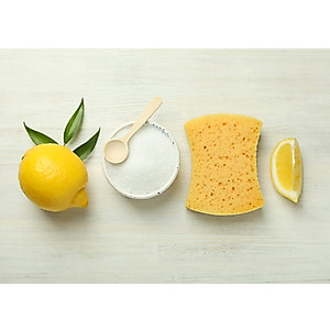 PURE ORIGINAL INGREDIENTS Malic Acid & Citric Acid Bundle, Food Grade, Tart Flavor