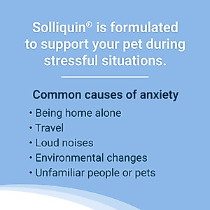 Nutramax Solliquin Calming Behavioral Health Supplement for Large Dogs - with L-Theanine, Magnolia/Phellodendron, and Whey Protein Concentrate, 75 Soft Chews