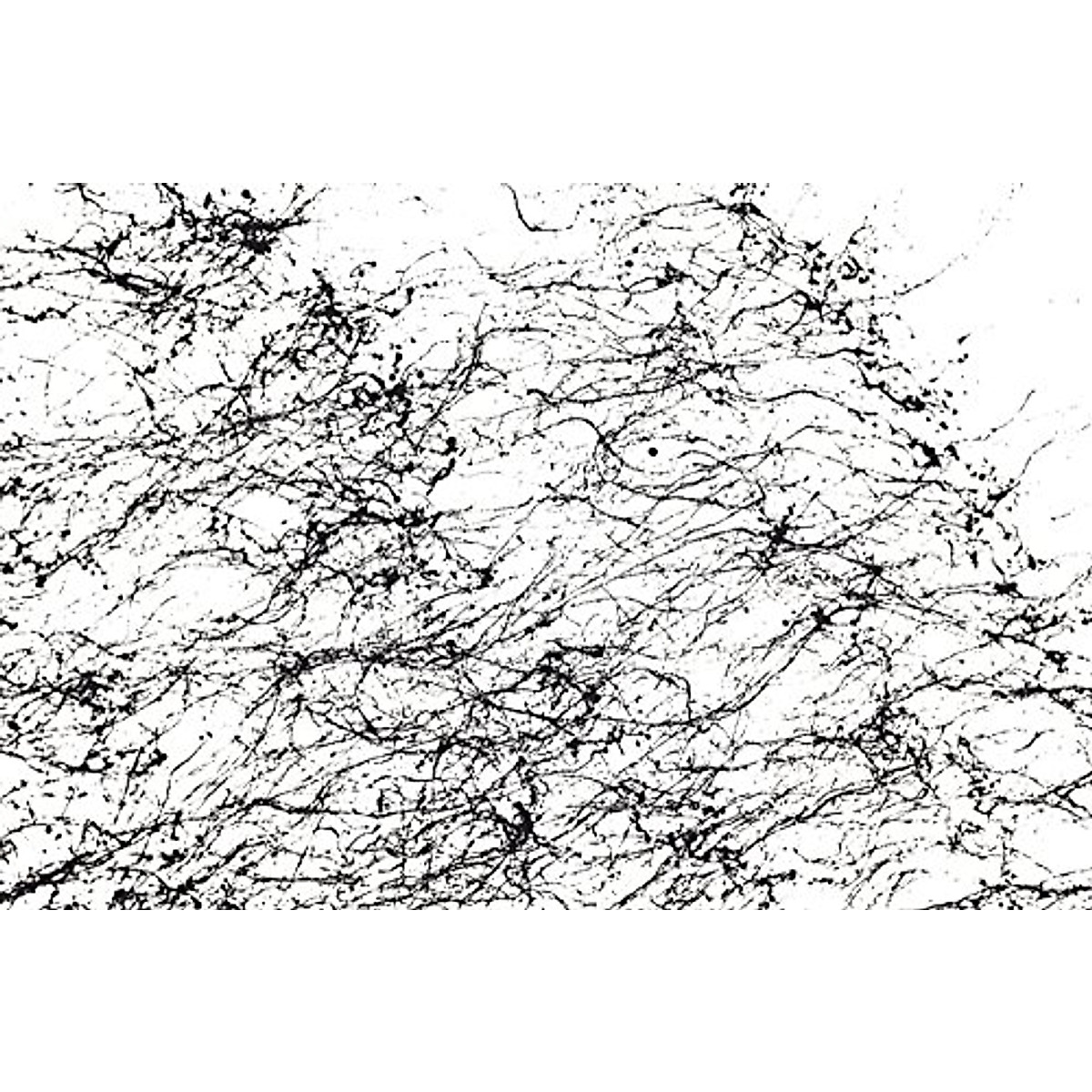 Montana Cans Montana BLACK 150ml Spider Effect Color, Spray Paint, 5.07 Fl Oz (Pack of 1)