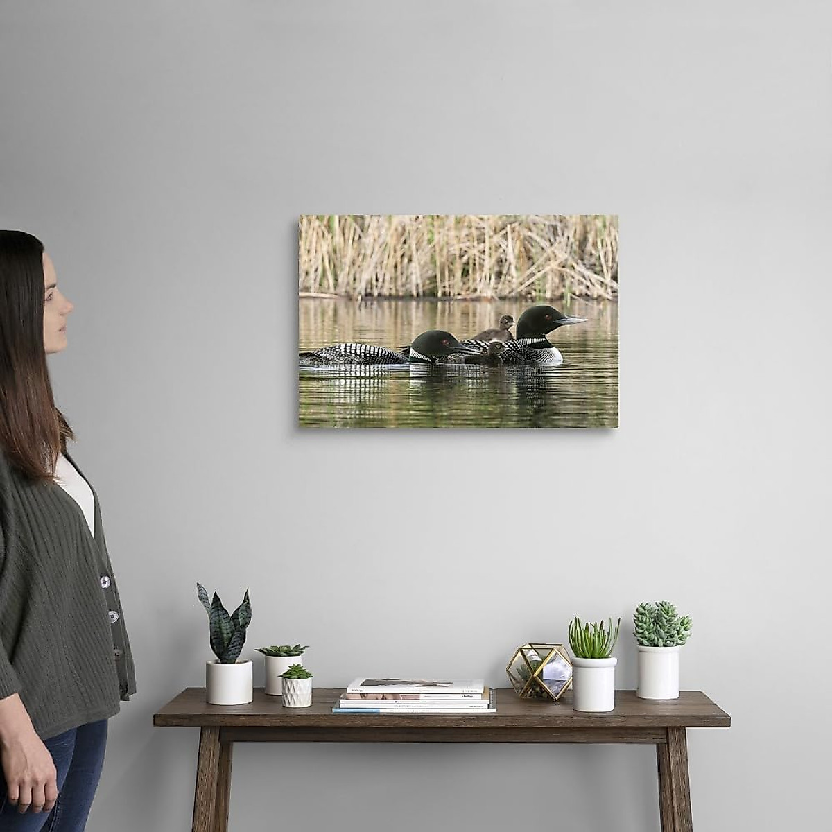 CANVAS ON DEMAND Common Loon Family, One Adult Loon Is Giving an Aquatic Insect to Its Chick Canvas Wall Art Print by Charles Sleicher, Home Decor, Bird, Wildlife Artwork, 24" x16in