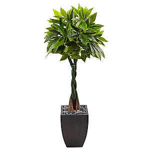 Nearly Natural 5ft. Money Artificial Tree in Black Square Planter
