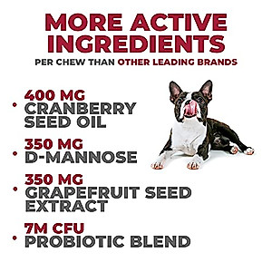 Mighty Petz MAX Cranberry for Dog UTI Treatment - Urinary Tract, Kidney & Bladder Health Supplement. Advanced Vet Formula, D Mannose, Probiotics & Vitamin C. Supports Immune Response & Incontinence