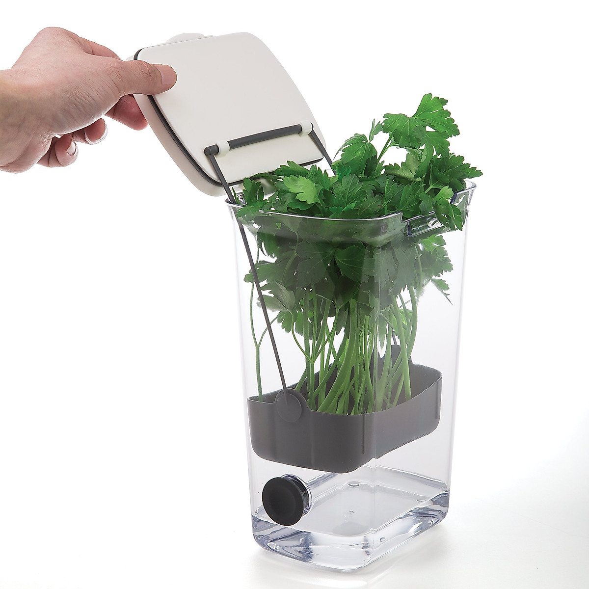 Progressive International PKS-930 BPA-Free Plastic ProKeeper Herb Keeper with Removable Silicone Drain Plug, 1 Piece, White