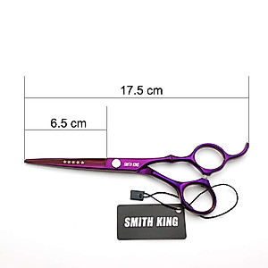 6.0 Inches Professional hair cutting thinning scissors set with razor (Violet)