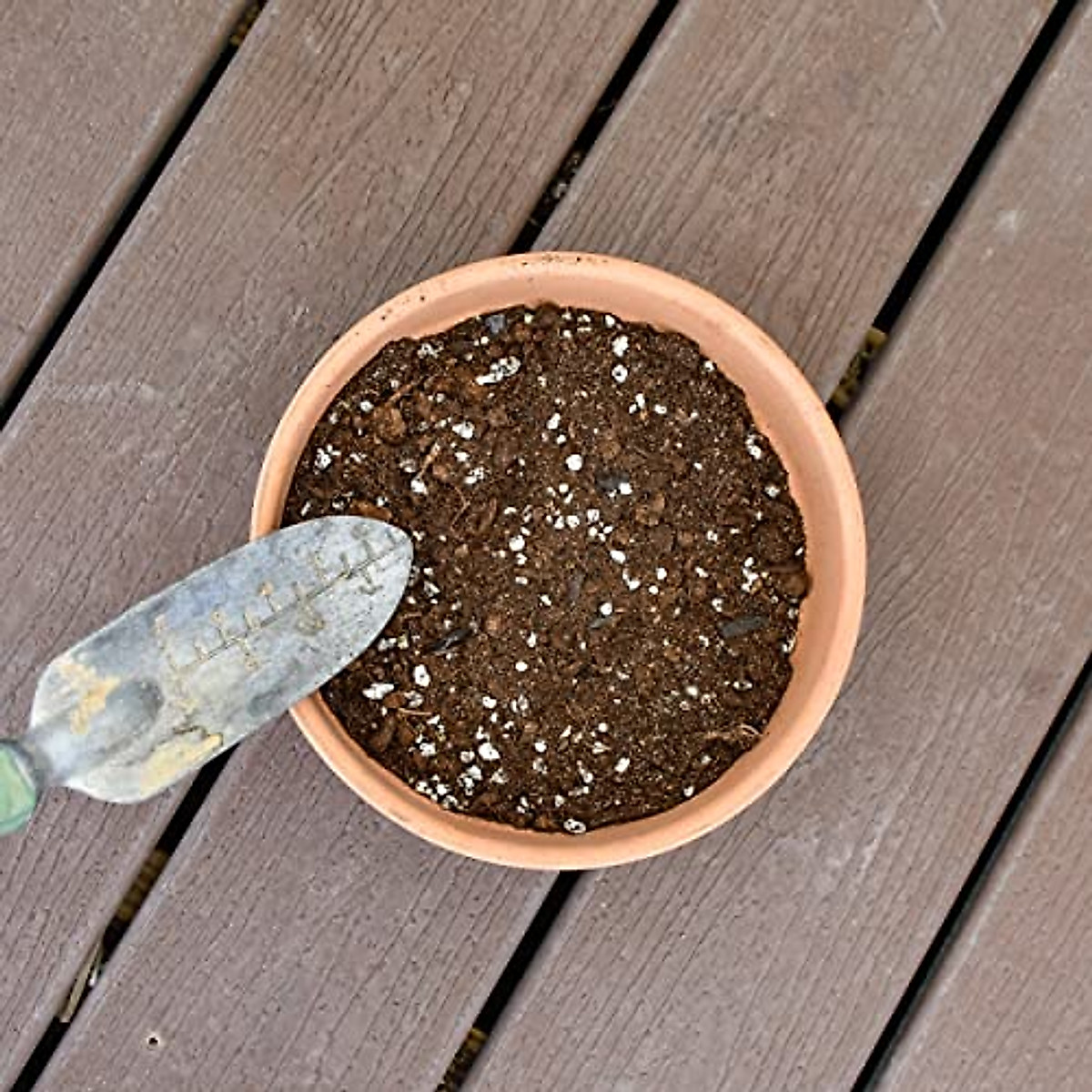 Anthurium Plant Potting Soil Mix (4 Quarts), Indoor Houseplant Custom Blend for Flowering Anthuriums