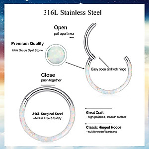 Longbeauty 16G CZ Opal Hinged Segment Nose Rings Hoop 316L Surgical Steel Helix Cartilage Tragus Earrings Septum Clicker Ring 8mm 10mm