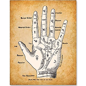 Palm Reading Divination Chart - Classic Fortune Teller Decor, Chiromancy Wall Art, Gift for Oddity Palm Readers, Palmistry and Astrology Fans, 11x14 Unframed Art Print Poster