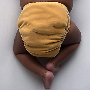 GroVia Buttah O.N.E. Reusable Baby Cloth Diaper (Glacier)