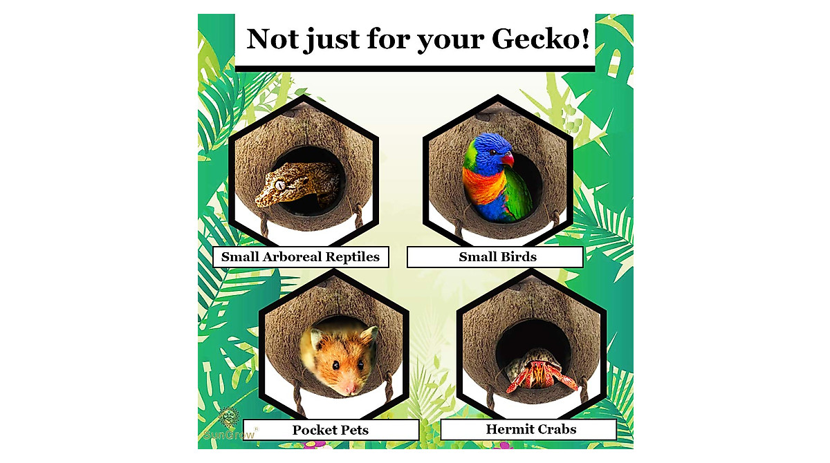 SunGrow Gecko Coconut Hut with Ladder - Ideal Habitat