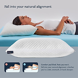 DreamyBlue Premium Pillow for Sleeping - Shredded Memory Foam Fill [Adjustable Loft] Washable Cover from Bamboo Derived Rayon - for Side, Back, Stomach Sleepers - CertiPUR-US Certified