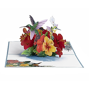 iGifts And Cards Inspirational Hummingbird with Yellow and Red Hibiscus 3D Pop Up Greeting Card - Colorful Flowers, Ideal for Mother's Day, Birthday, Anniversary, Get Well, Thank You, Bird Lovers 6x8